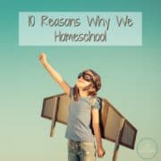 Why Homeschool? | 10 Reasons Why it's the Best for Our Family