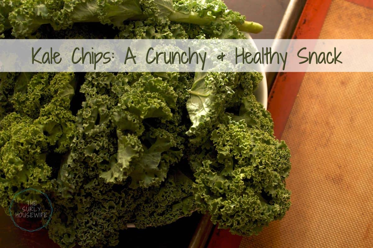 Kale Chips | A Nutritious, Fast, and Easy Snack for the Whole Family