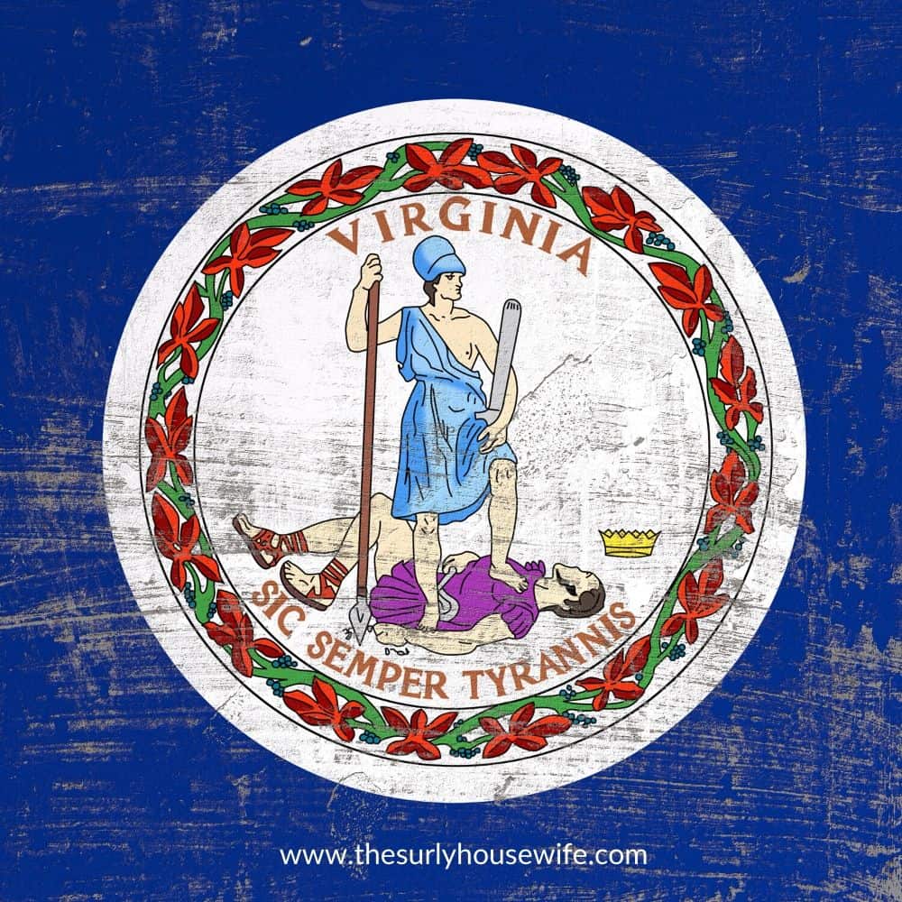 The Ultimate List of Children's Books About Virginia