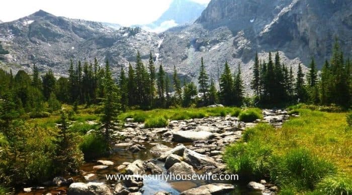 The Ultimate List of Children's Books Featuring Idaho