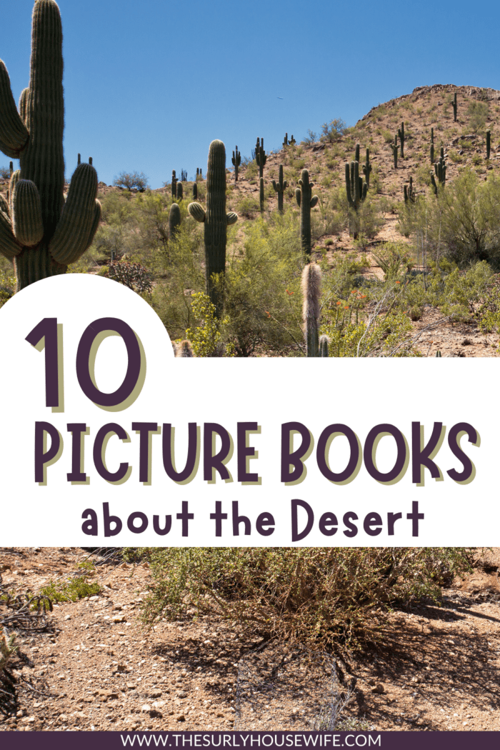 The 10 Best Picture Books about the Desert