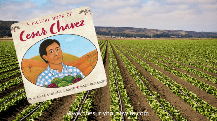10 of the Finest Children's Books about Cesar Chavez